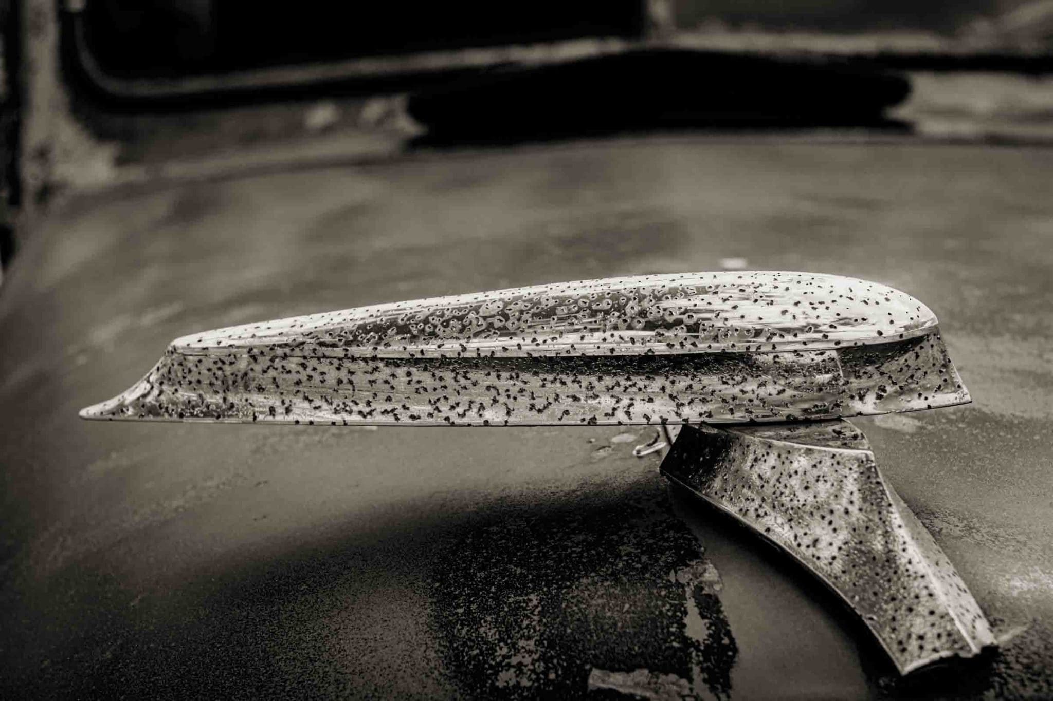 24-16-Truck-(Detail)-Long-Cove-Quarry-ME-2023 - Tillman Crane Photography